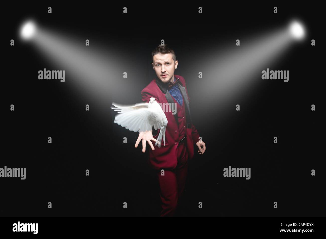 Magician man shows trick with trained white dove bird Stock Photo - Alamy