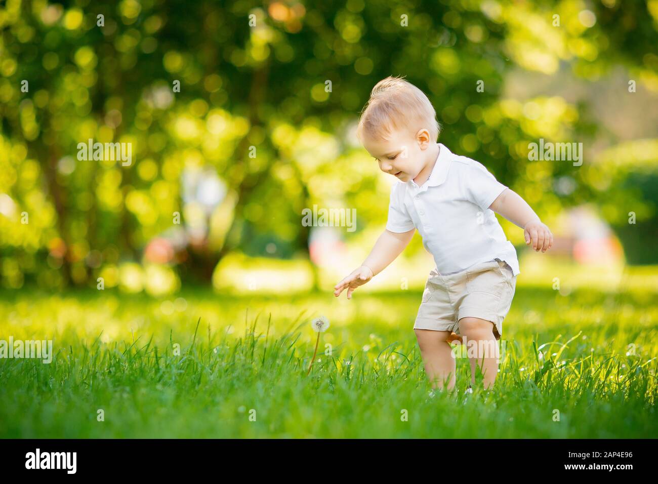 First step baby, Portrait boy crawling stand up in park Sunlight ...