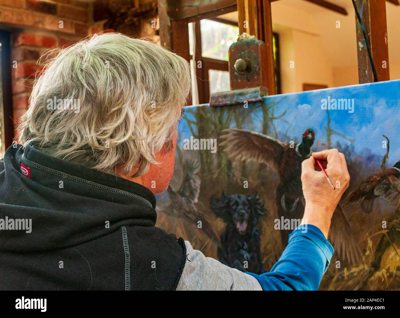 John Trickett - Field sports artist working in his studio Stock Photo ...