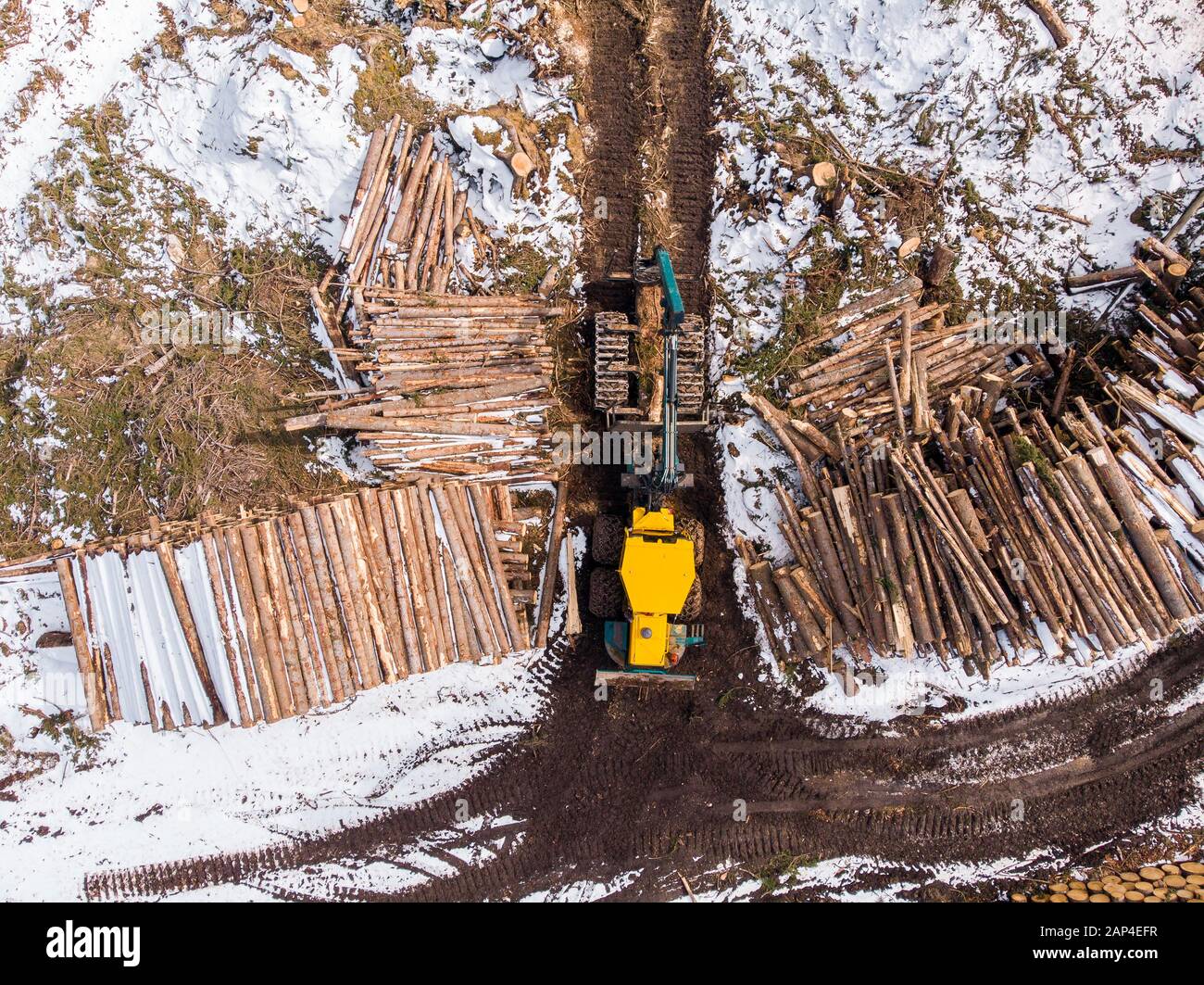 Lumberjack timber with modern harvester working in forest. Top view ...