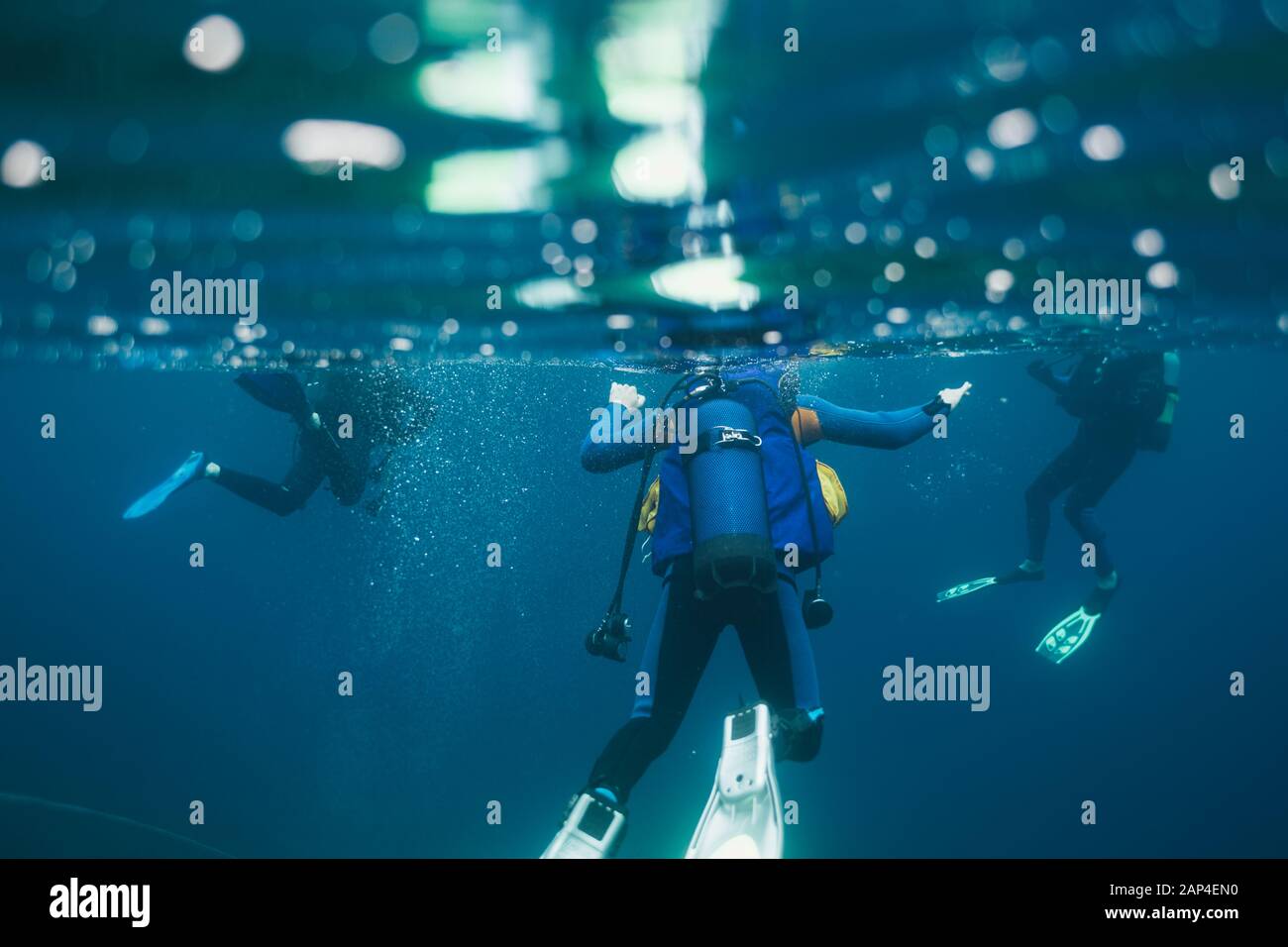 Group of scuba divers underwater. Rear view of scuba divers diving ...