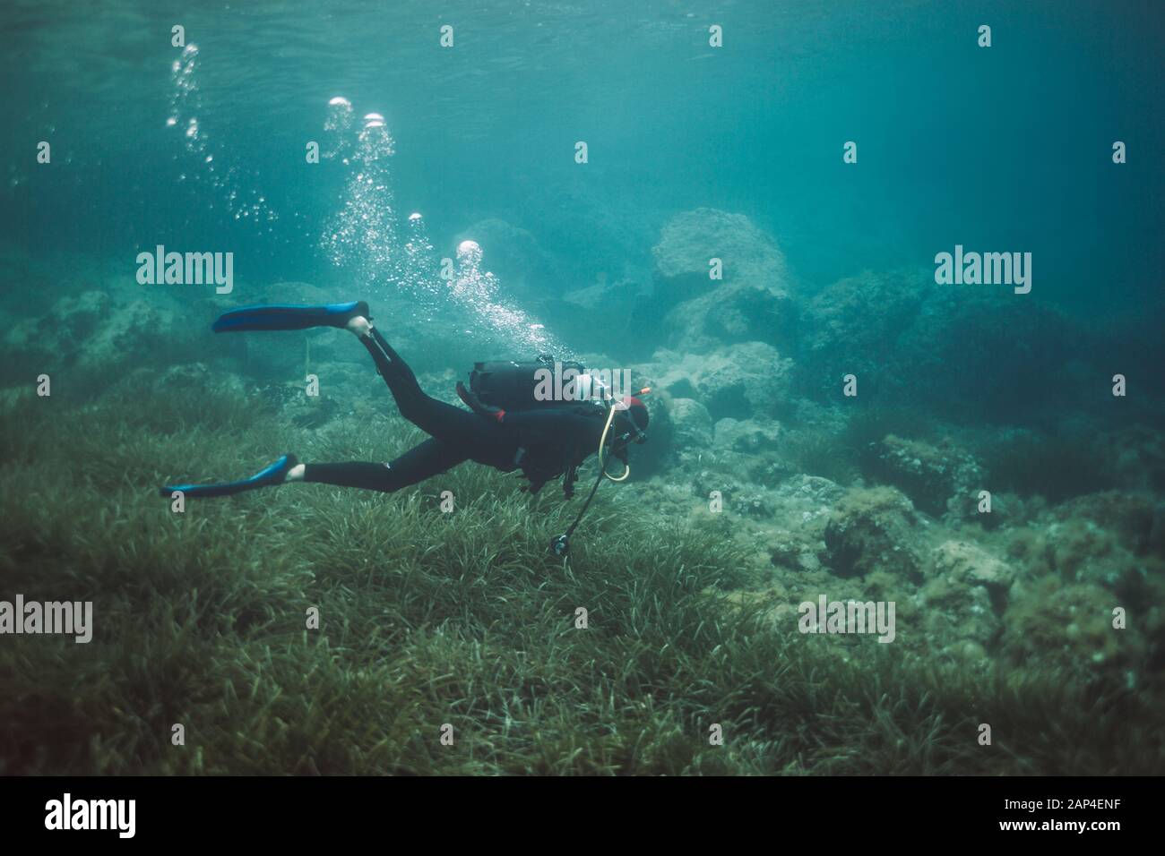 Side view of scuba diver diving underwater Stock Photo - Alamy