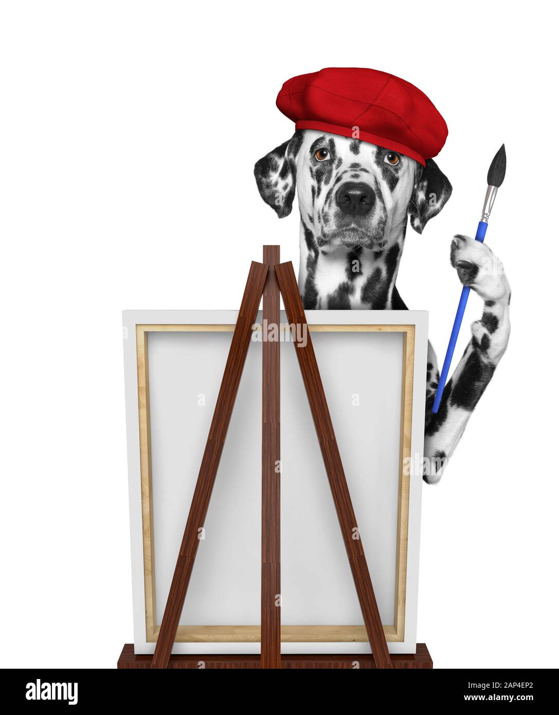 Cute dalmatian dog is a painter artist. Isolated on white background ...