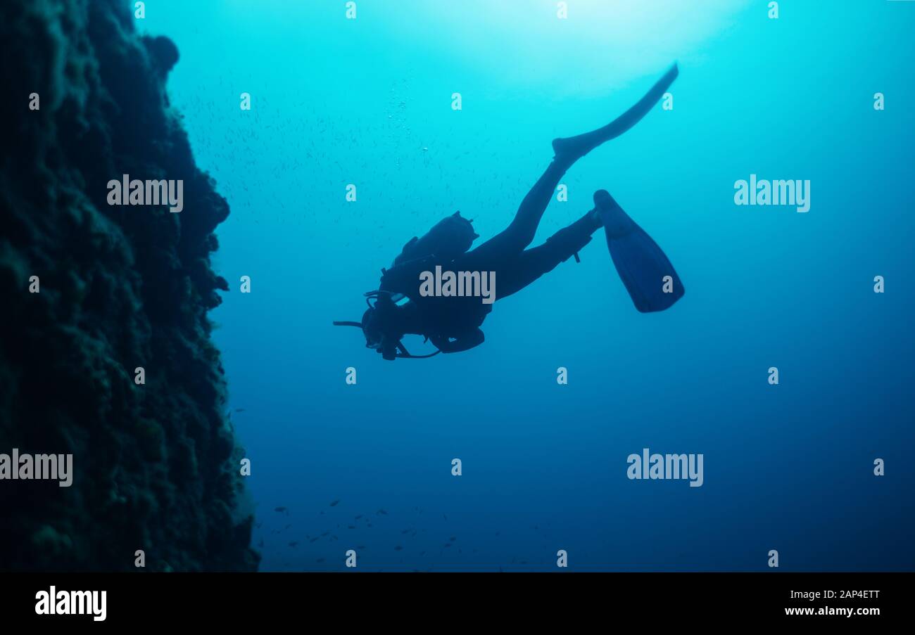 Side view of scuba diver diving underwater Stock Photo - Alamy
