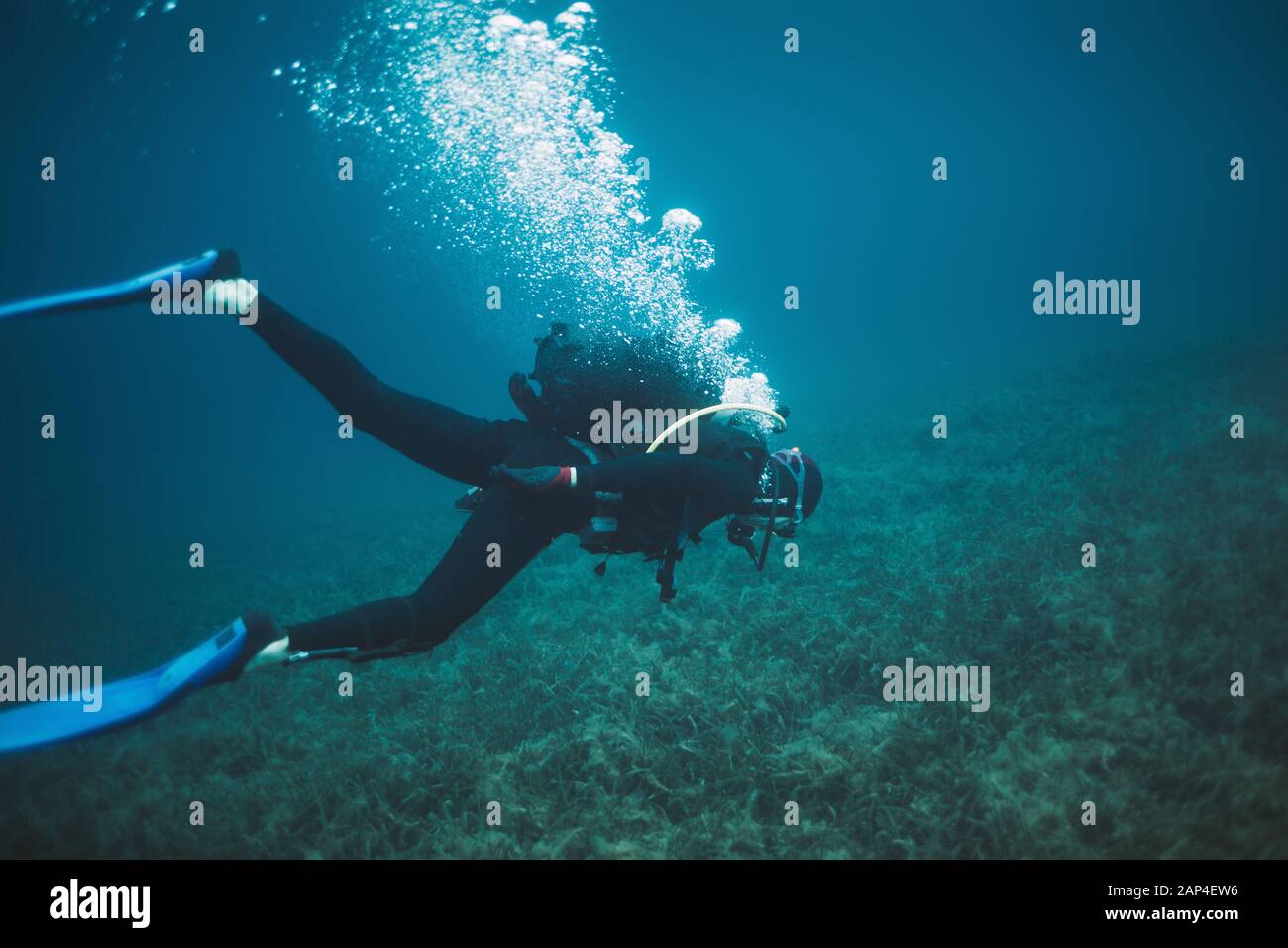 Side view of scuba diver diving underwater Stock Photo - Alamy