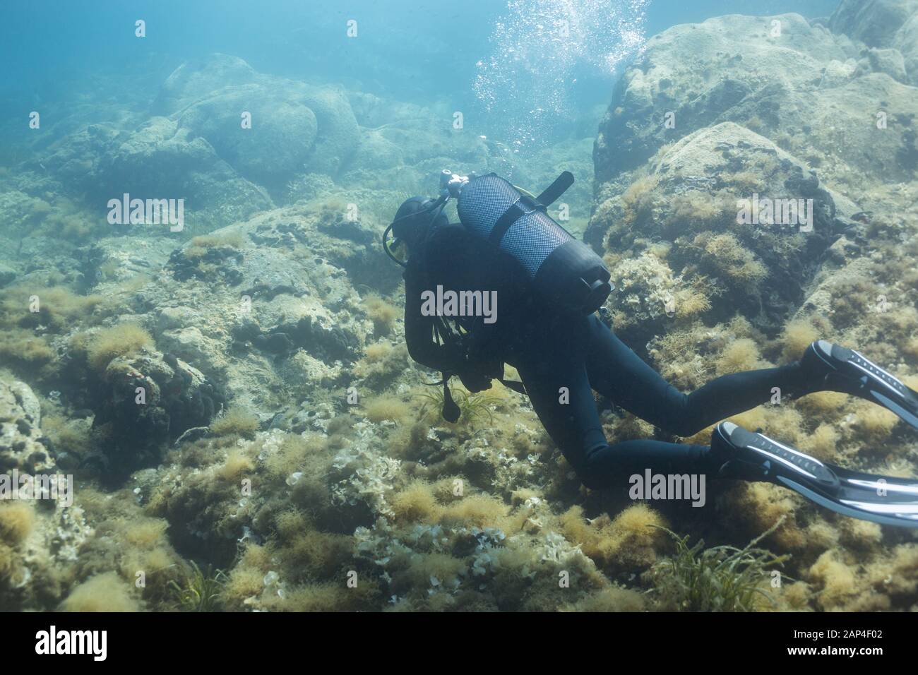 Side view of scuba diver diving underwater Stock Photo - Alamy