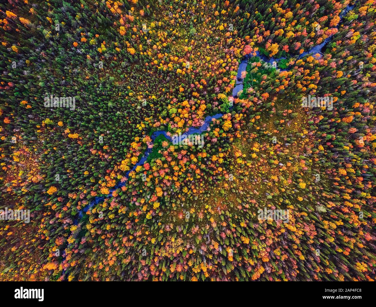 River flows through autumn forest with yellow and red trees, aerial top view Stock Photo - Alamy
