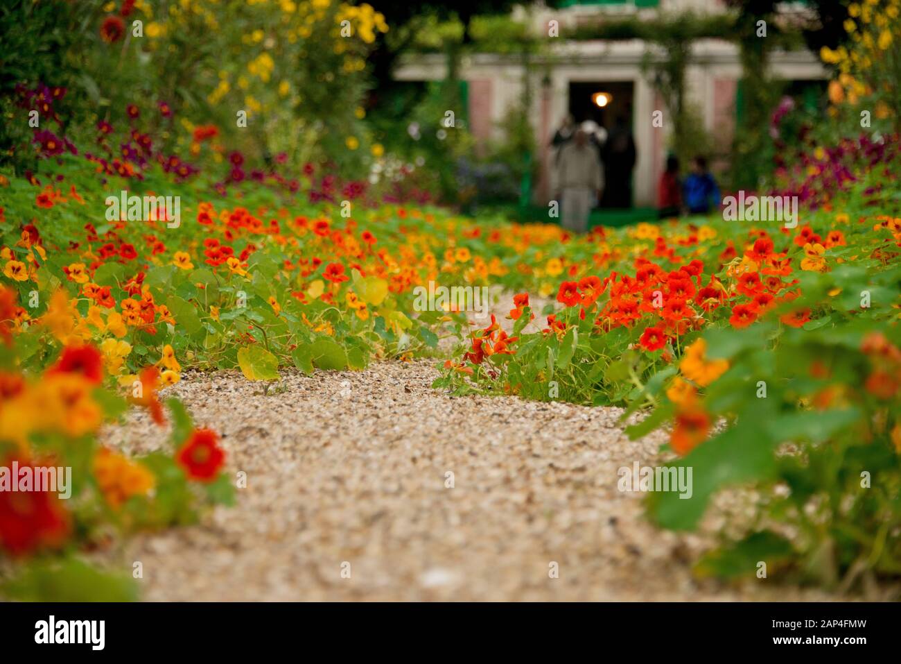 Claude Monet House Giverny Normandy France. Nasturtium flowers on path ...
