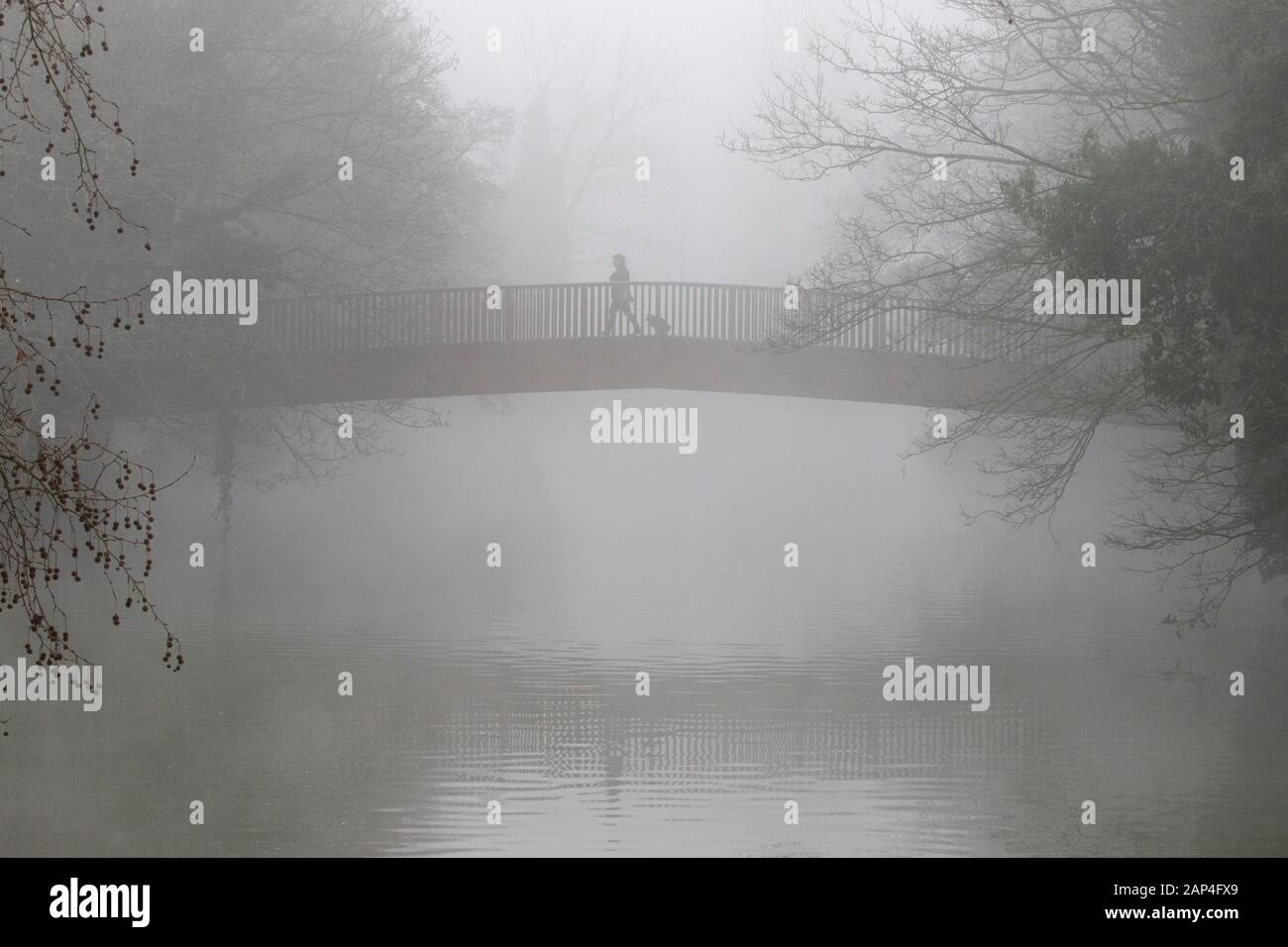 Chippenham, Wiltshire, UK. 21st Jan, 2020. As the cold foggy winter ...