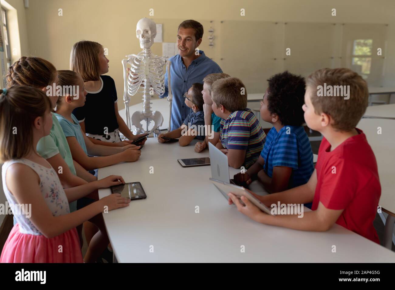 Male teacher using a model of a human skeleton to teach Stock Photo - Alamy
