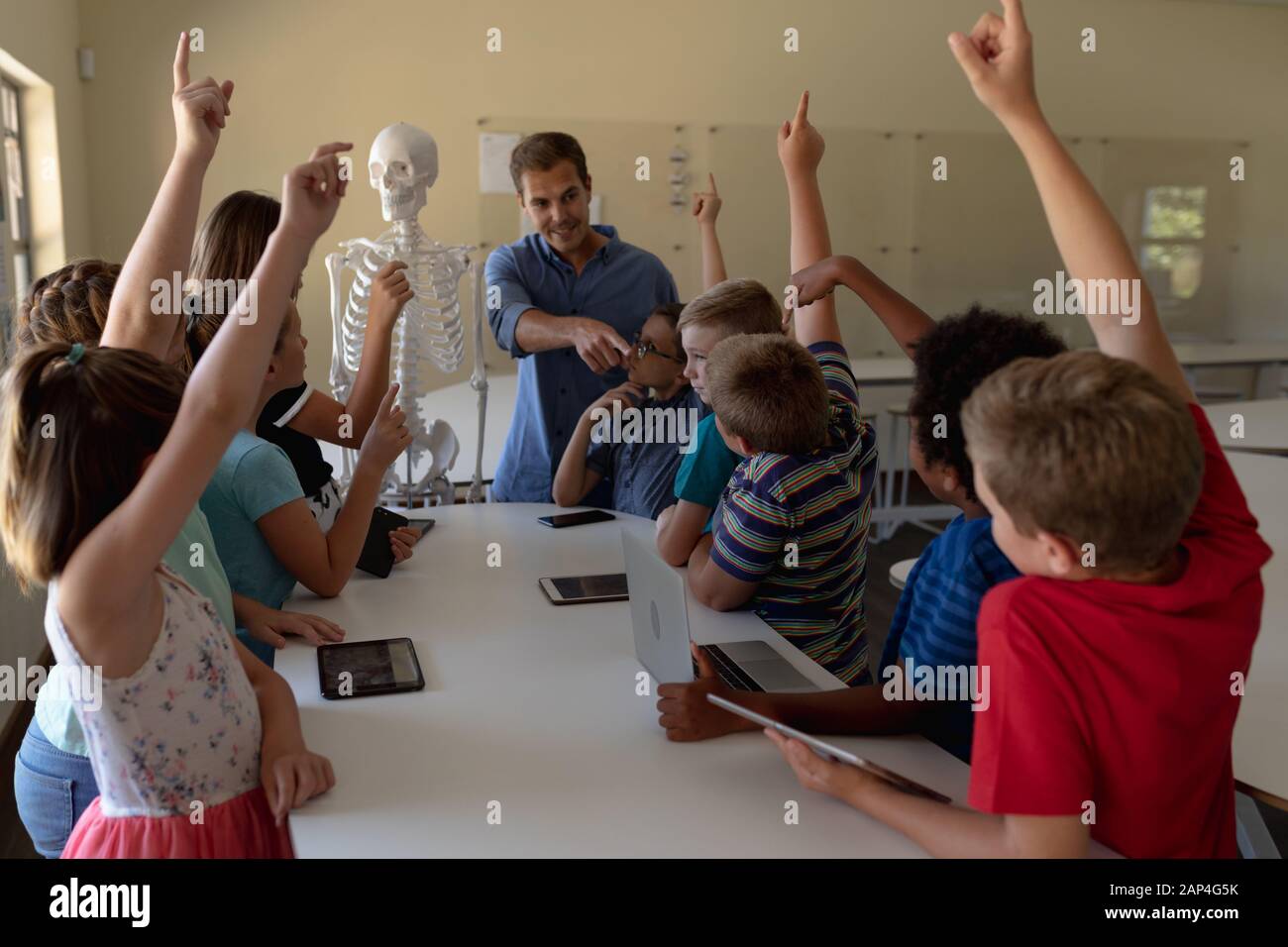 Male teacher using a model of a human skeleton to teach Stock Photo - Alamy