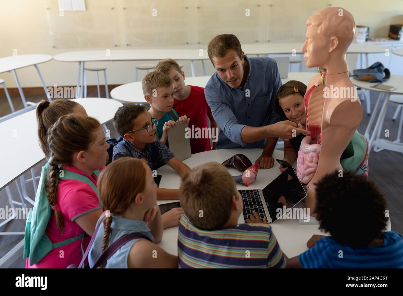 Male teacher using an human anatomy model to teach Stock Photo - Alamy