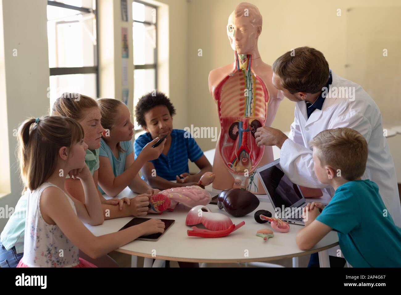 Group of elementary school kids working with anatomy model Stock Photo ...