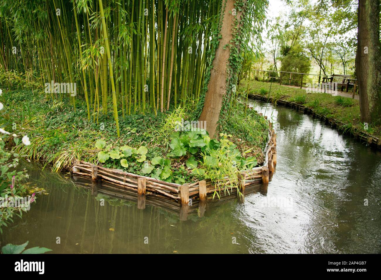 Claude Monet Garden Giverny Small Waterway with Bamboo on bank Stock ...