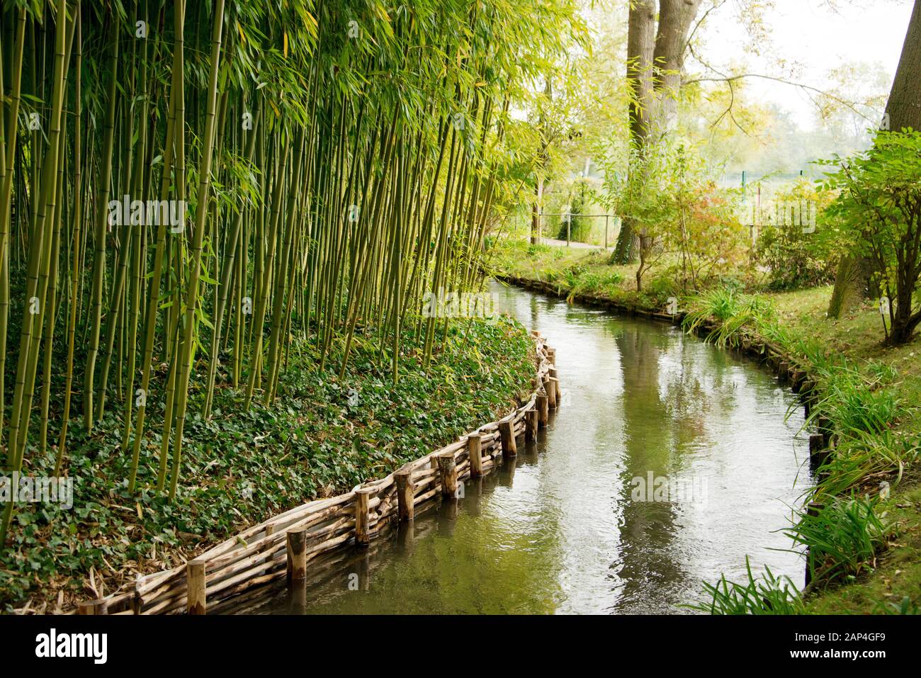 Claude Monet Garden Giverny Small Waterway with Bamboo on bank Stock ...