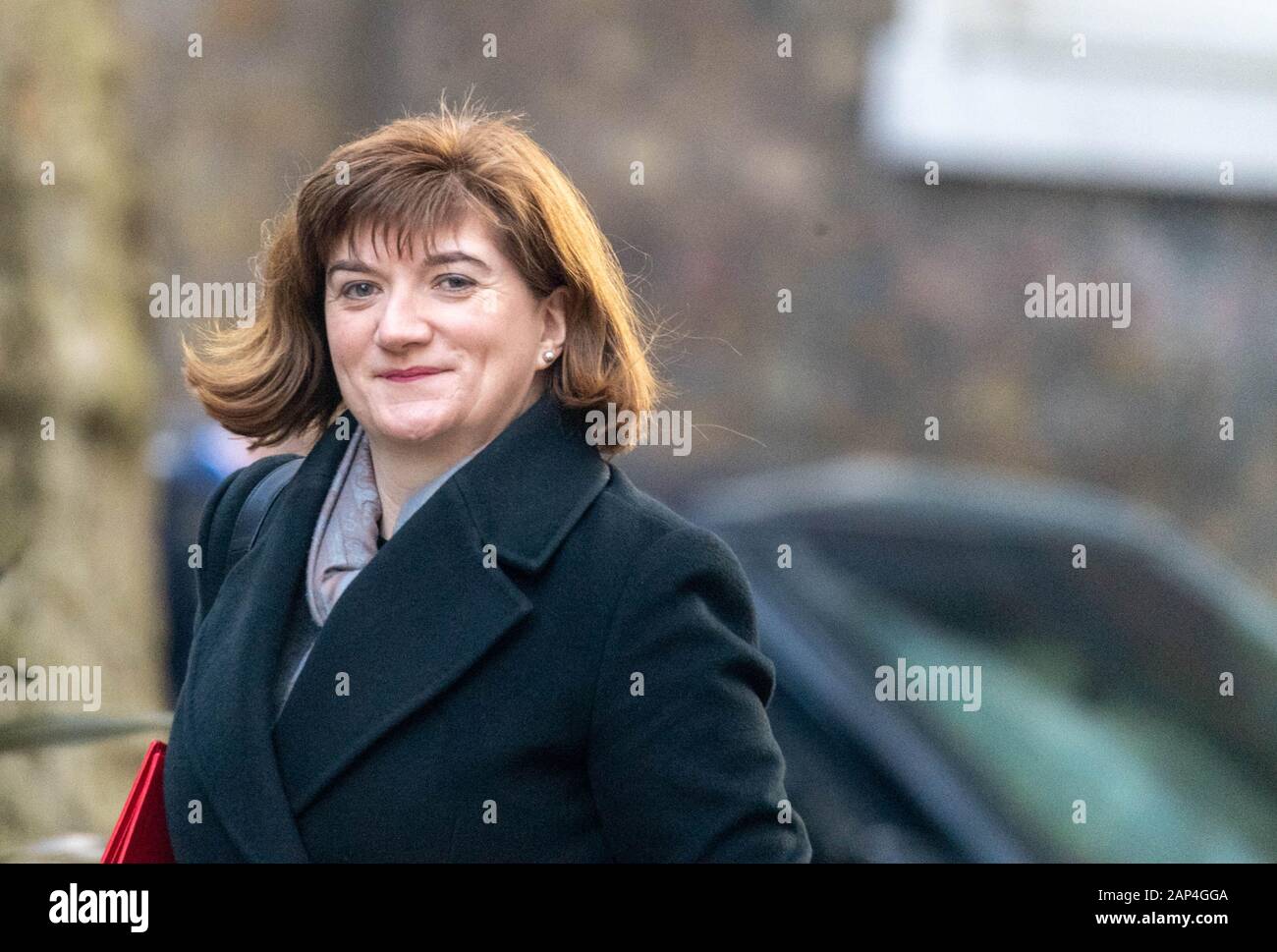 London, UK. 21st Jan, 2020. Baroness Nicky Morgan Culture Secretary ...