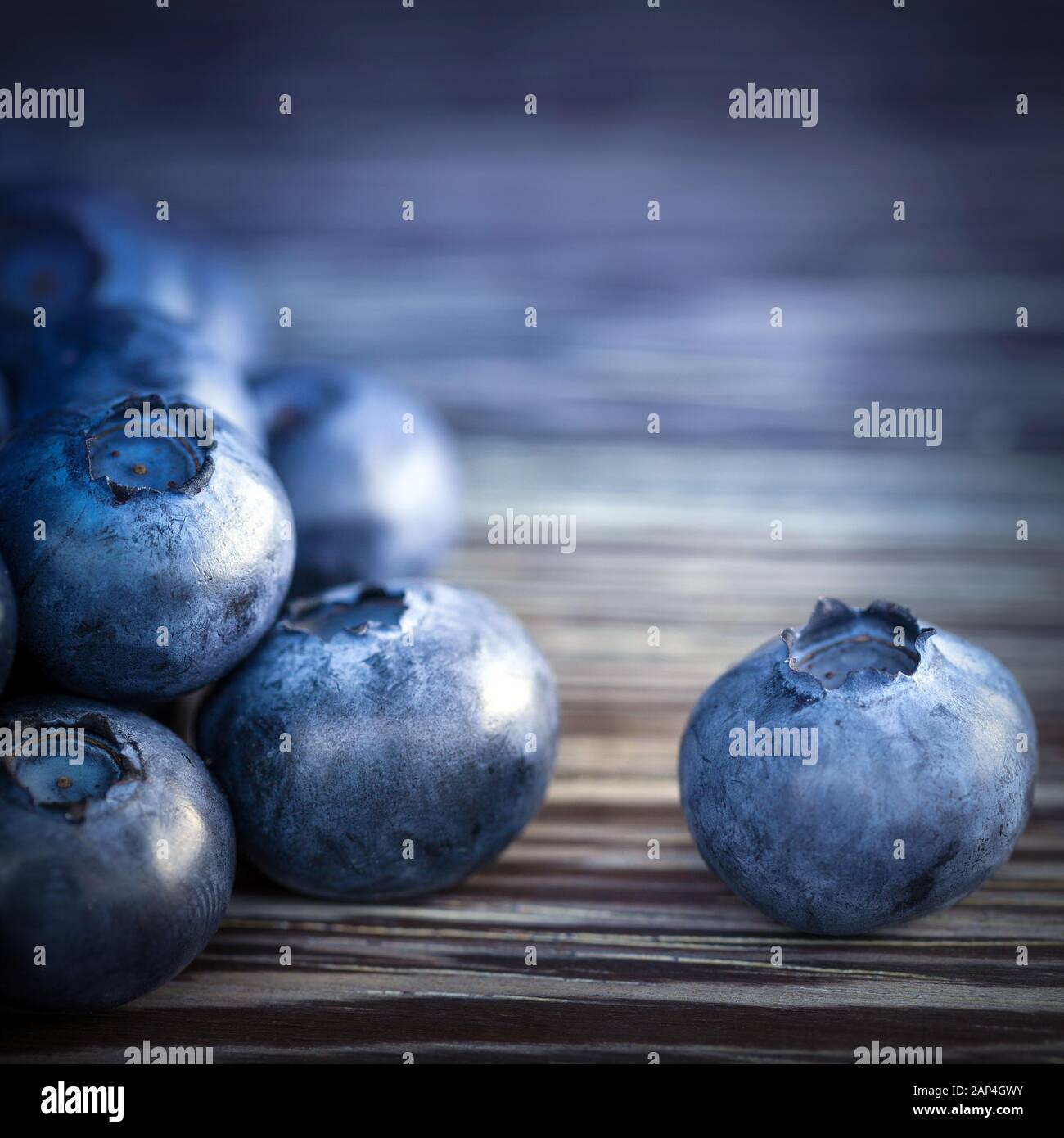 still life with giant blueberry - close up Stock Photo - Alamy
