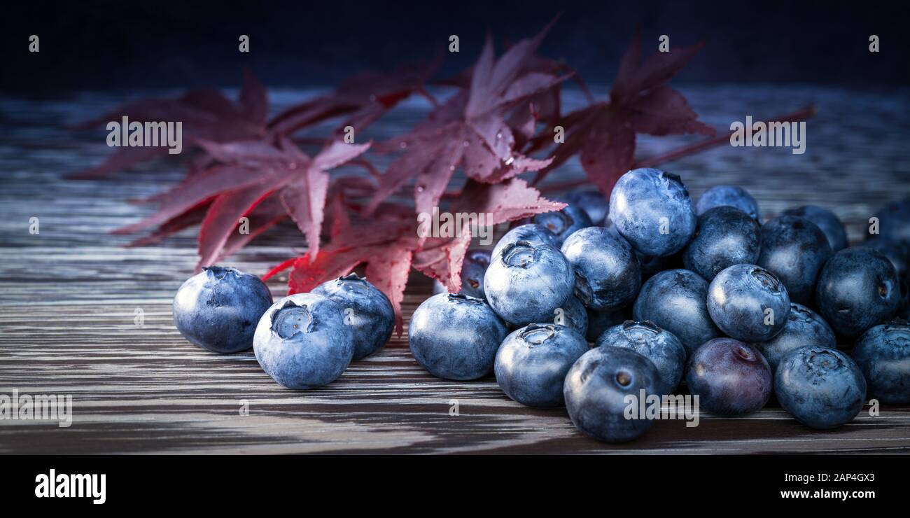 still life with giant blueberry - close up Stock Photo - Alamy