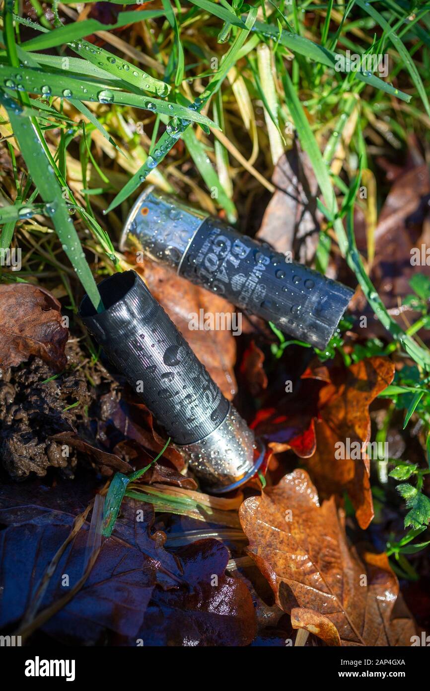 shotgun cartridge, spent shotgun cartridge,spent shotgun cartridge in ...