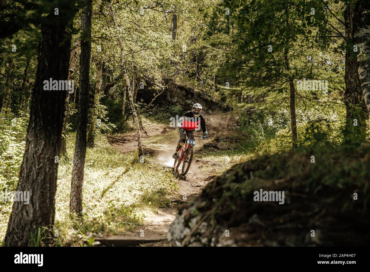 downhill competition race rider riding on forest trail Stock Photo - Alamy