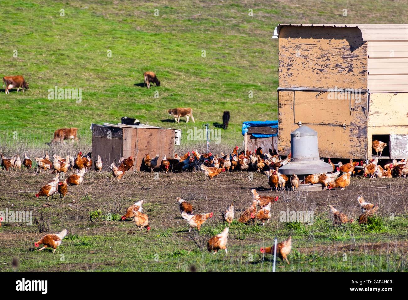 Back to natu hi-res stock photography and images - Alamy
