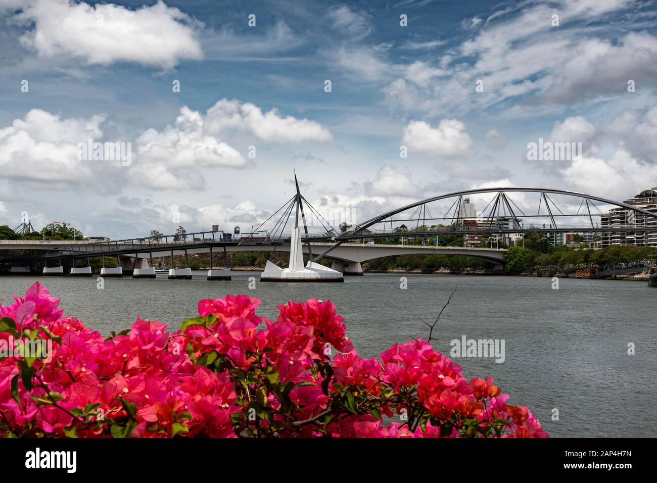 View across the Brisbane river towards Goodwill bridge Stock Photo - Alamy