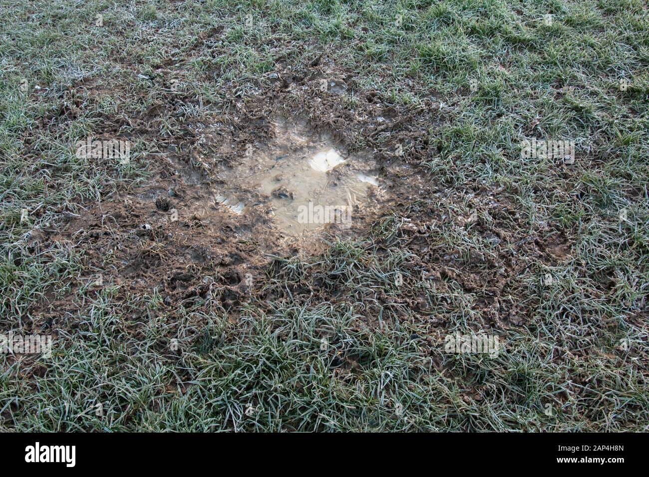 Muddy Puddle Frozen High Resolution Stock Photography and Images - Alamy