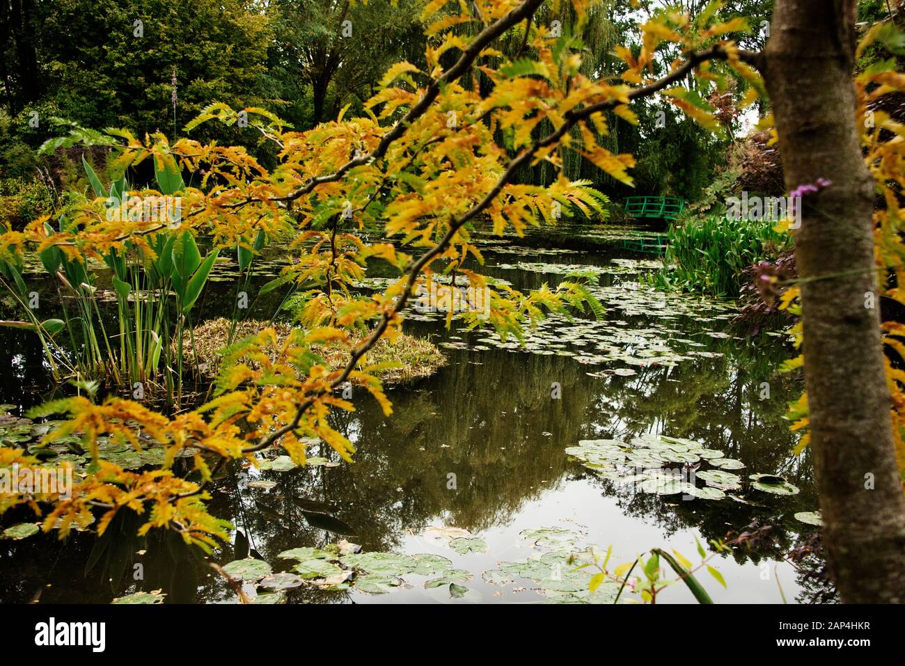 Claude Monet Garden Giverny Water Garden and Lily Pond in Autumn ...