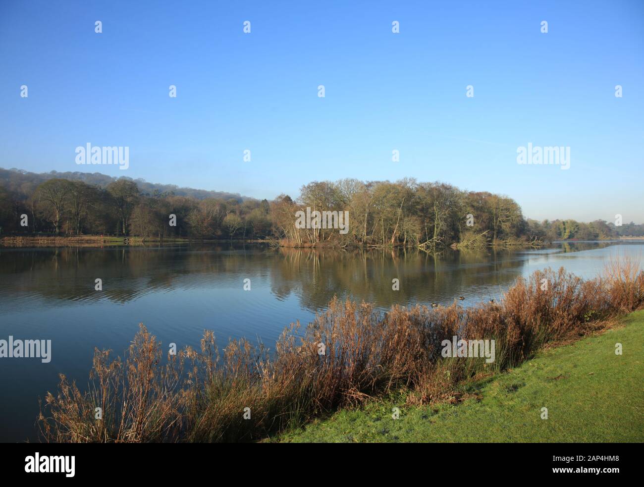 Trentham lake, Trentham estate, Stoke on Trent, Staffordshire, UK Stock ...
