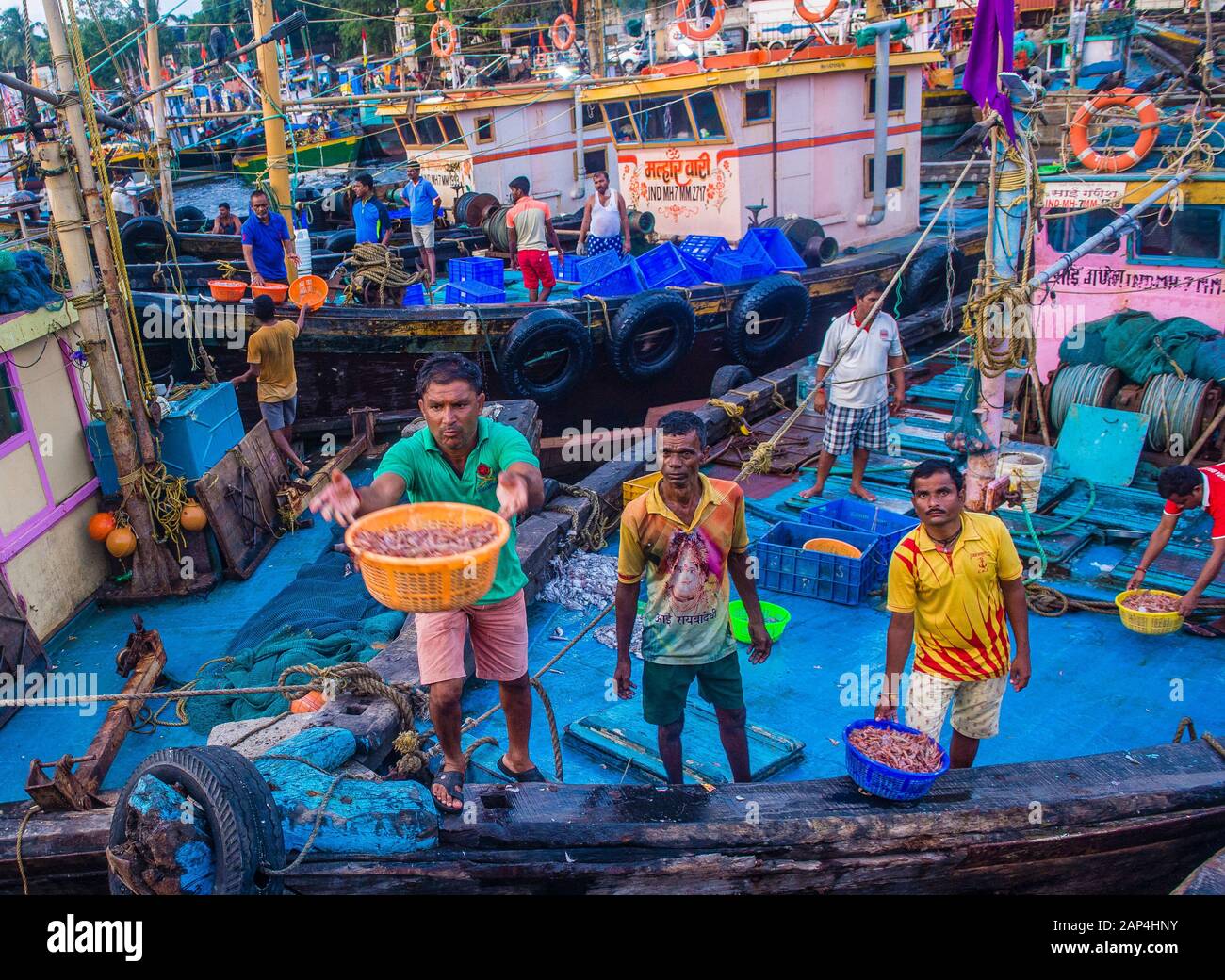 Indian fishermen working in Sassoon Docks in Mumbai India Stock Photo ...