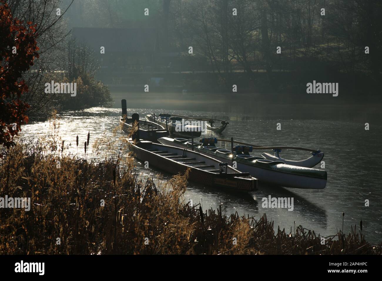 Boats moored on Trentham lake, Trentham gardens, England, UK Stock ...