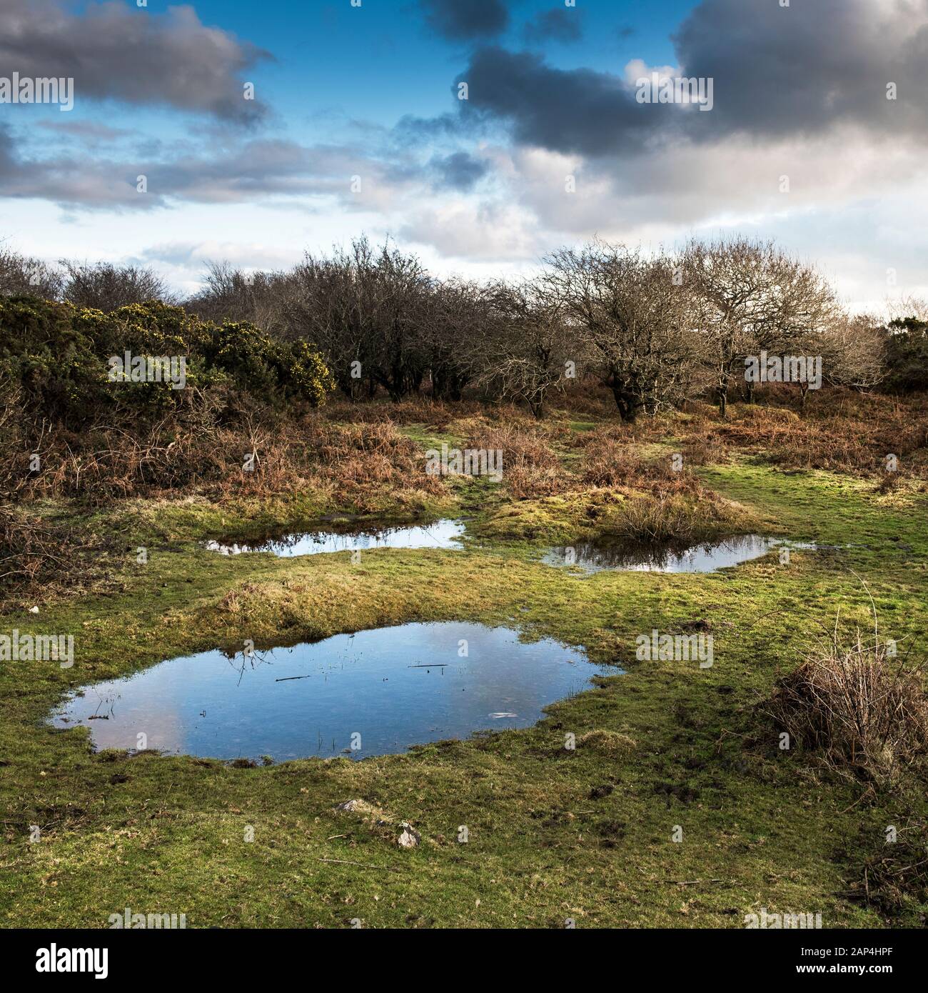 Mining exploration hi-res stock photography and images - Alamy