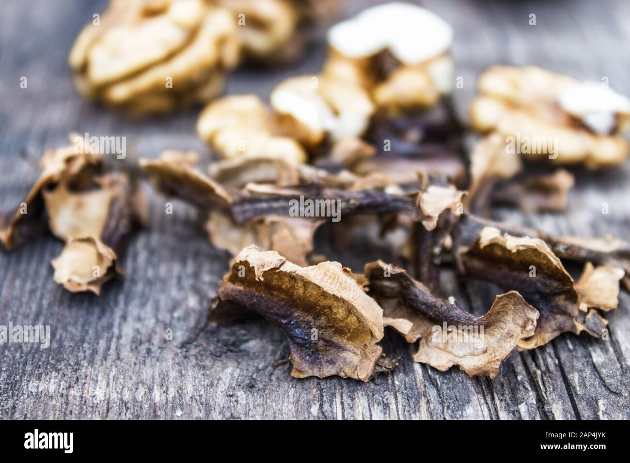 Types of walnuts with a diaphragm hi-res stock photography and images ...