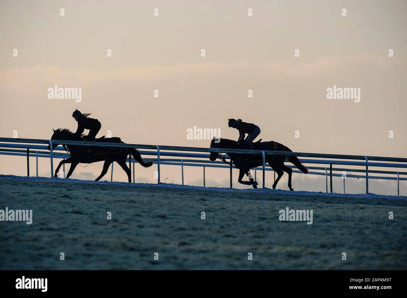 Newmarket's gallops hi-res stock photography and images - Alamy