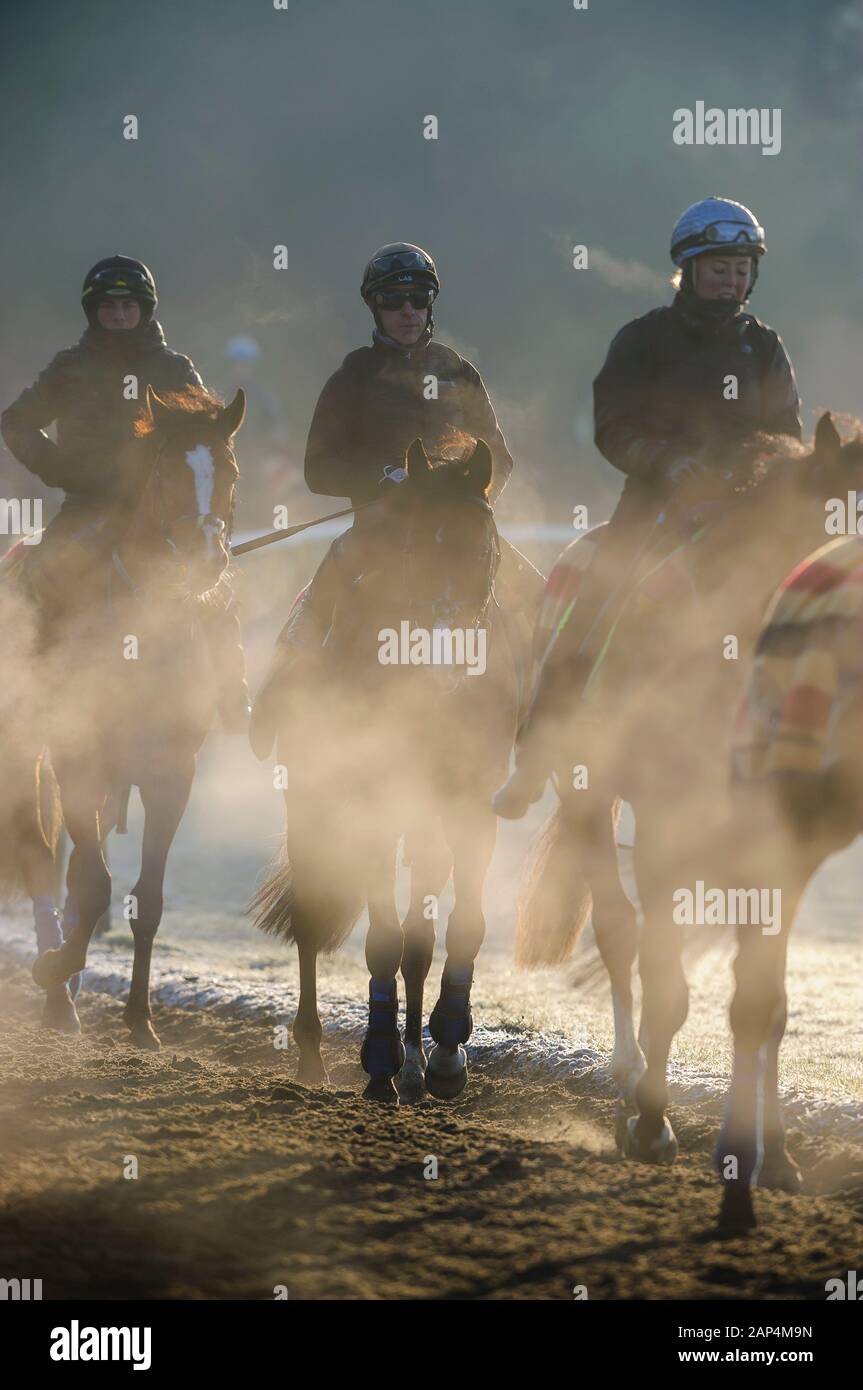 Newmarket's gallops hi-res stock photography and images - Alamy