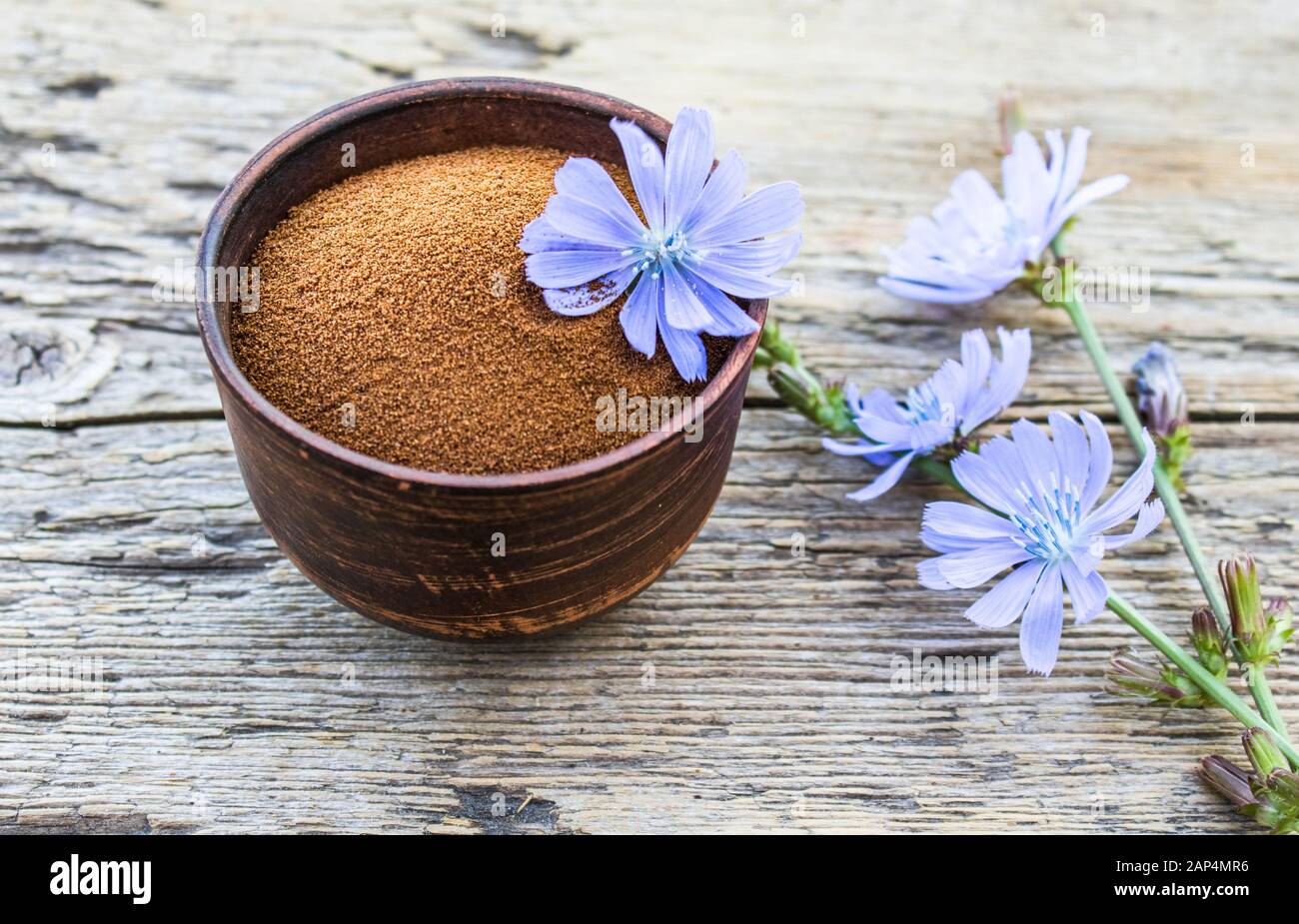 Blue chicory flower and a bowl of instant chicory powder on an old ...