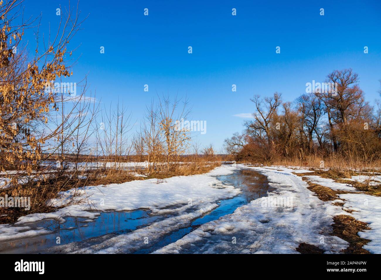 Forest and field in early spring. Puddles on the road. Thaw Stock Photo ...