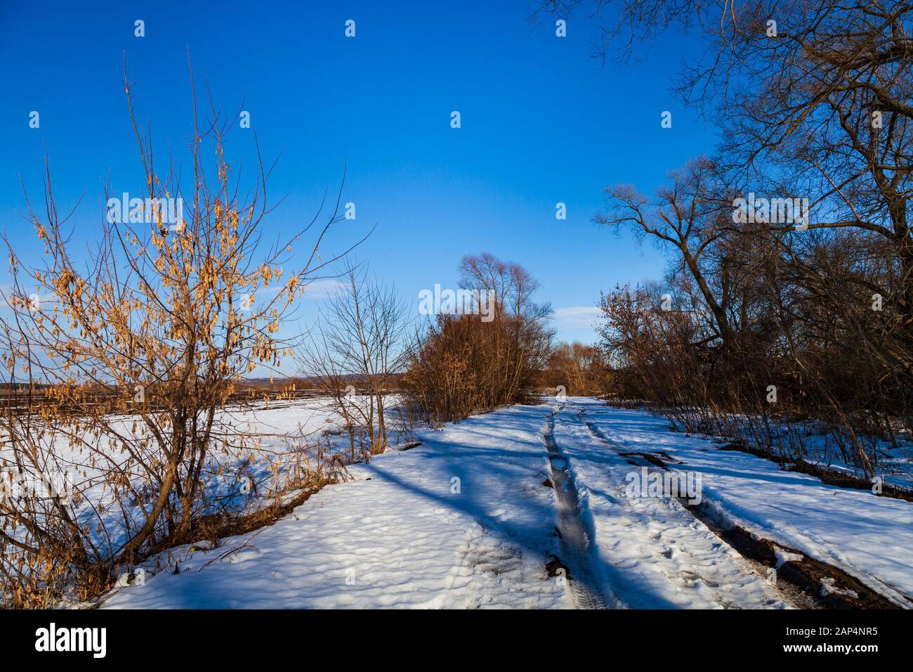 Spring puddles hi-res stock photography and images - Alamy