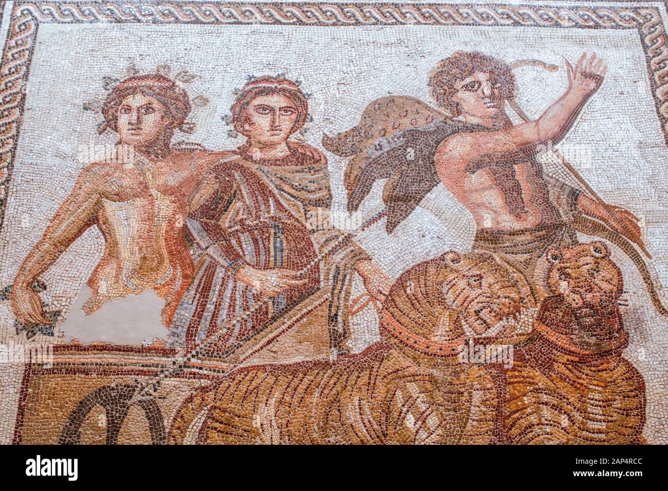 Bacchus mosaic triumph hi-res stock photography and images - Alamy