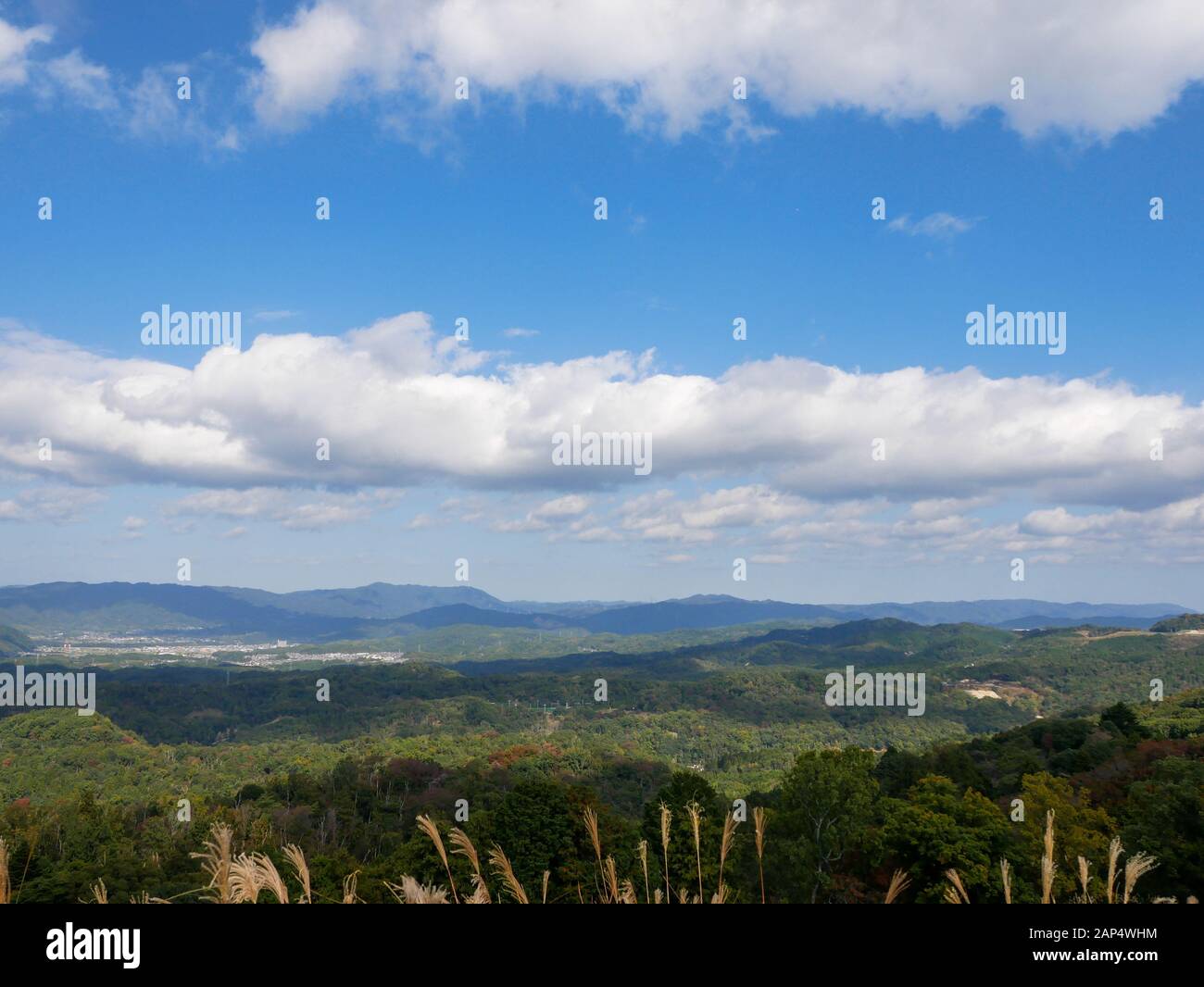 Beautiful Nara mountain at Nara city, Japan. Nara park is a famous ...