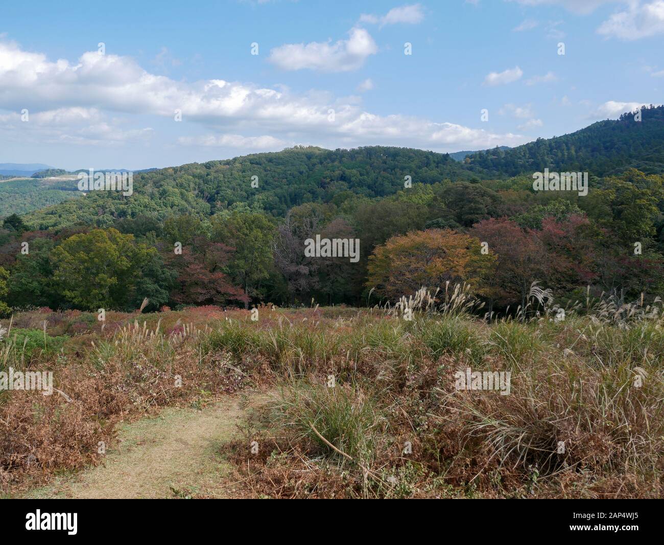 Beautiful Nara mountain at Nara city, Japan. Nara park is a famous ...
