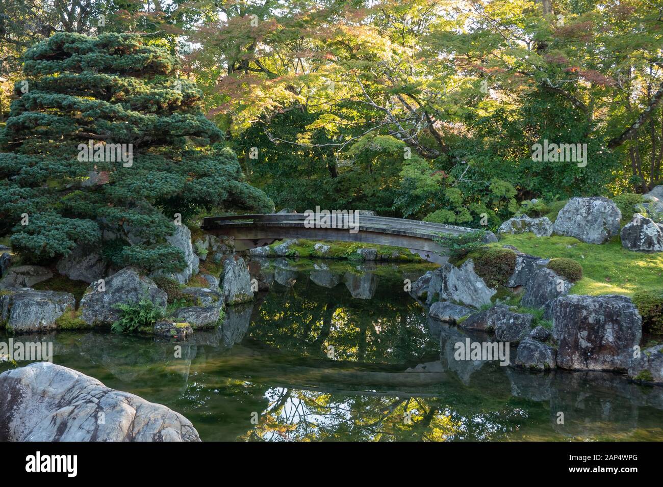 Natural green trees in a Japanese garden Stock Photo - Alamy