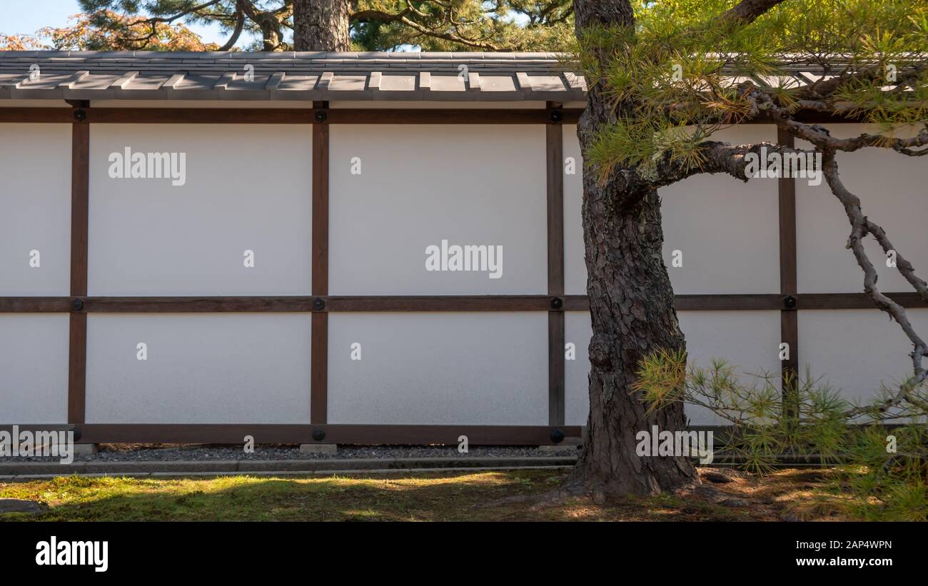 Natural green trees in a Japanese garden Stock Photo - Alamy