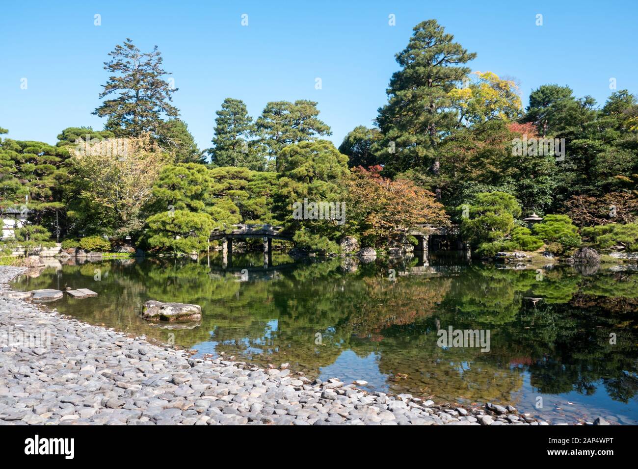 Natural green trees in a Japanese garden Stock Photo - Alamy