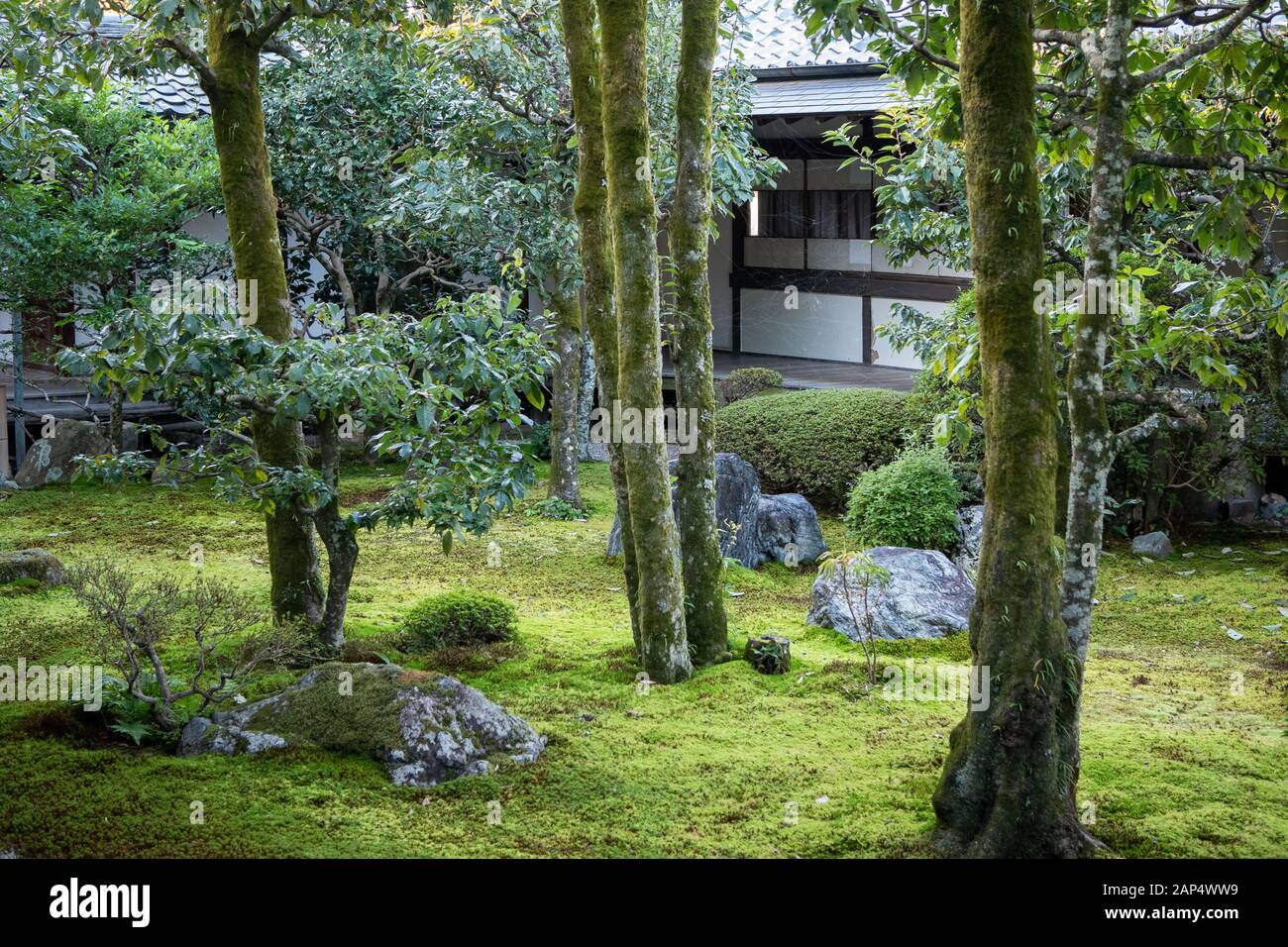 Natural green trees in a Japanese garden Stock Photo - Alamy
