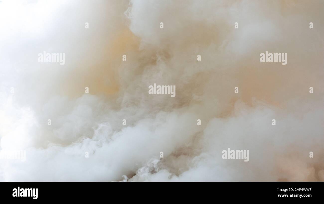 Background of white smoke, Fog or smoke background, Smog abstract ...