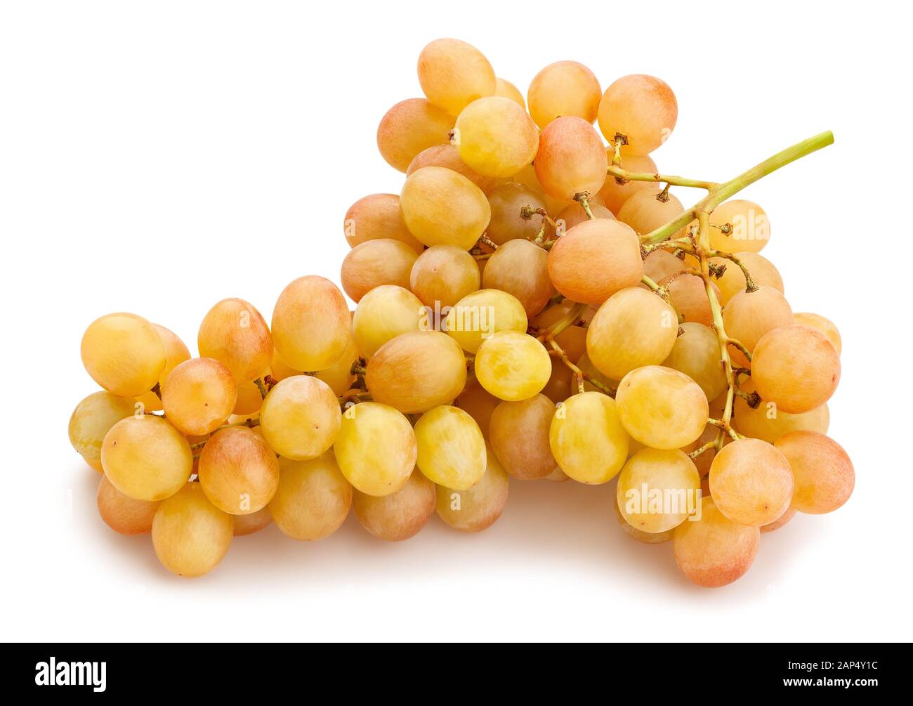 Single grape cluster hi-res stock photography and images - Alamy