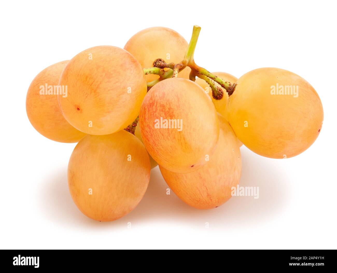 Pink grape cluster hi-res stock photography and images - Alamy