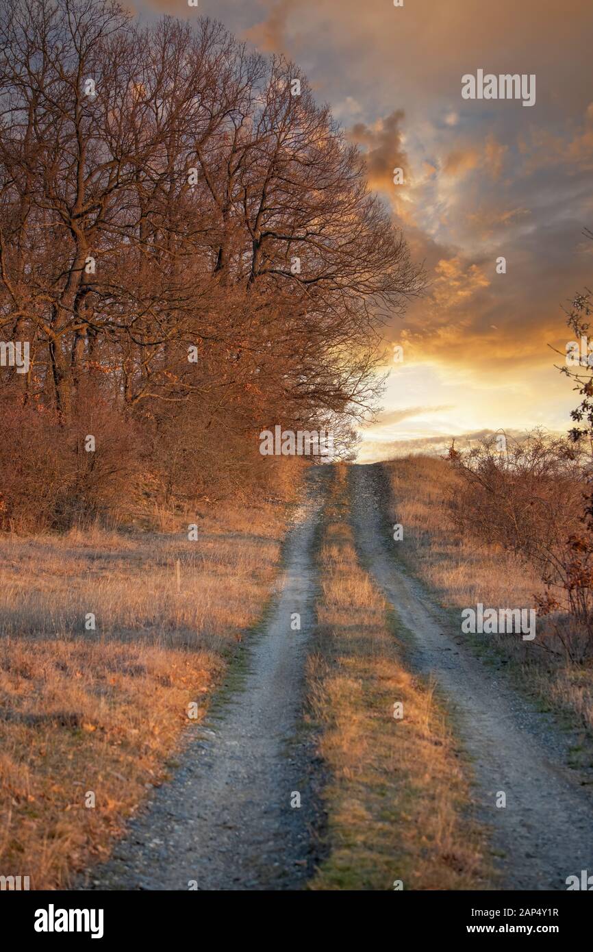 Nice pathway in a sunset light Stock Photo - Alamy