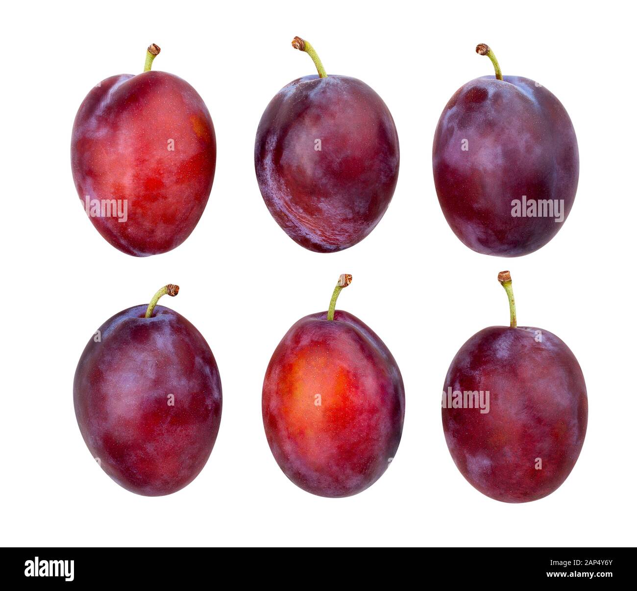 plum path isolated on white Stock Photo - Alamy